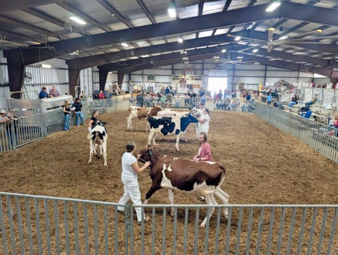 Washington County Fair shifts time for 2027 to mid-July for first time ...